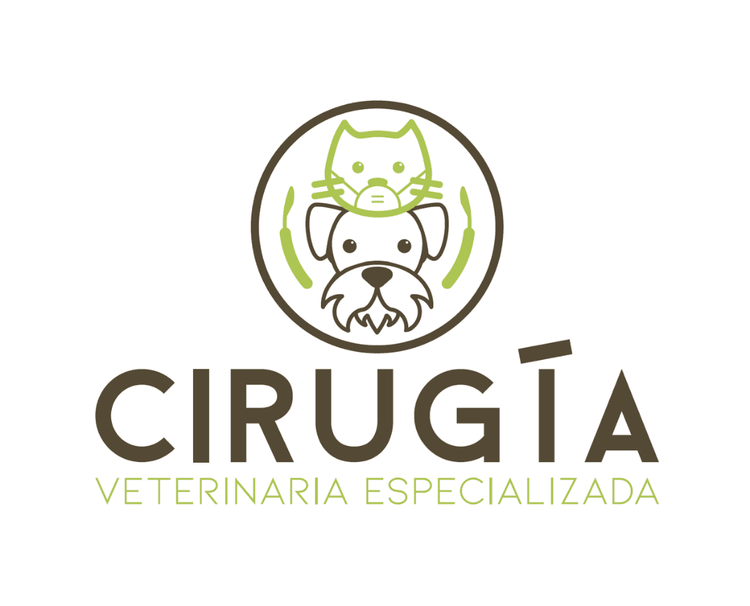 INFORME DE GESTIÓN BIC 2025 - Cirugía Veterinaria Especializada